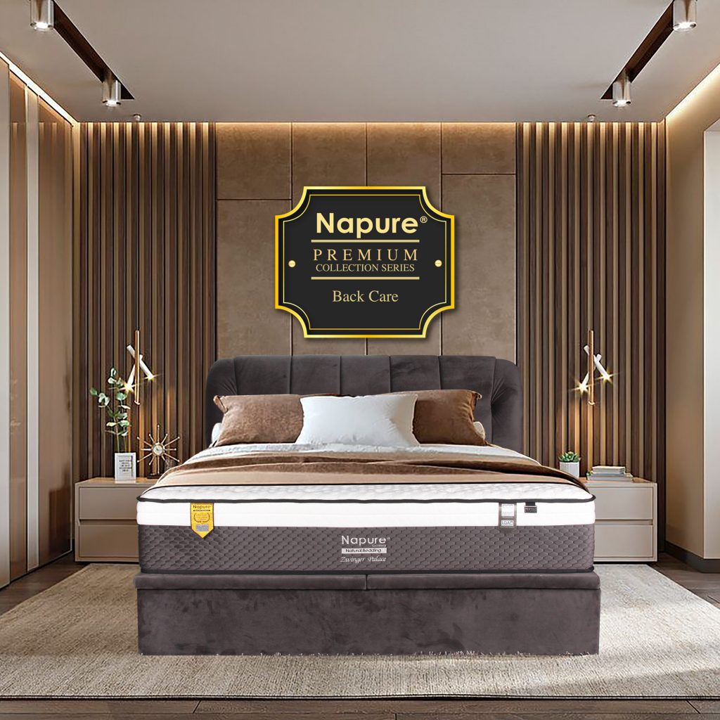 Zwinger Palace - Napure