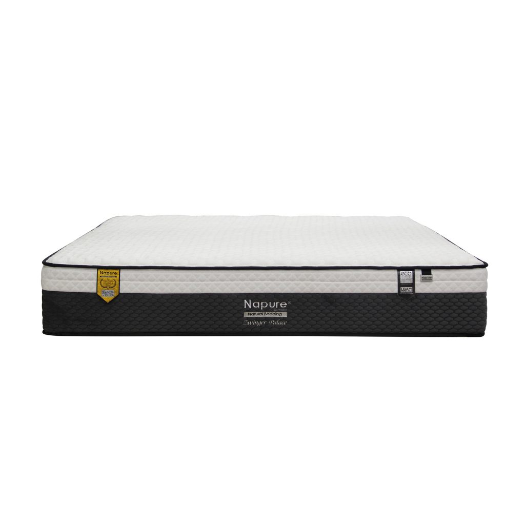 Zwinger Palace - Napure